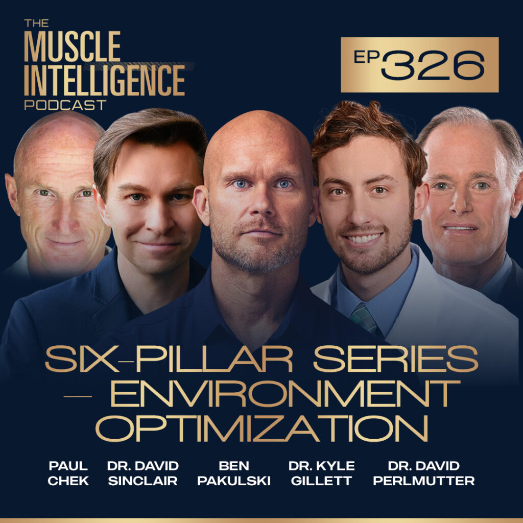 Six-Pillar Series – Environment Optimization #326