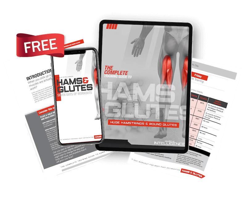 Body Part Primer - Hams & Glutes - Muscle Intelligence